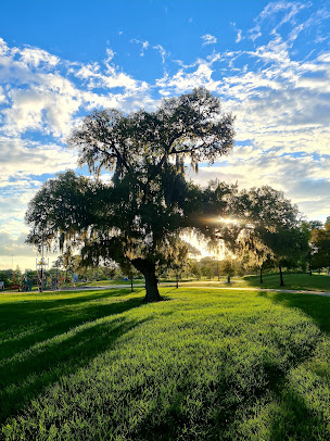 Gragg Park Complex – Sports, Play & Community Fun