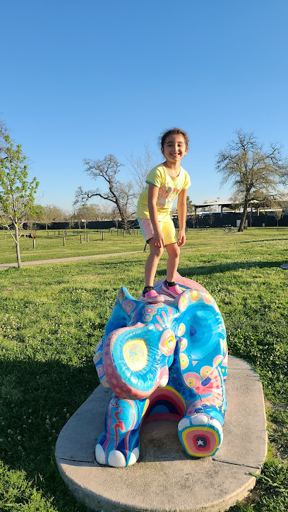 Gragg Park Complex – Sports, Play & Community Fun